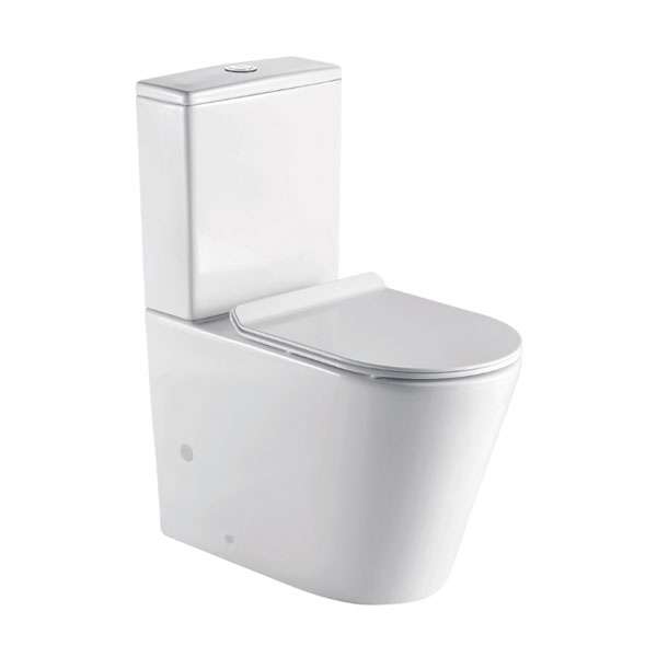 Fully Installed Rimless Apollo Back to Wall Toilet Suite **Extra Large ...